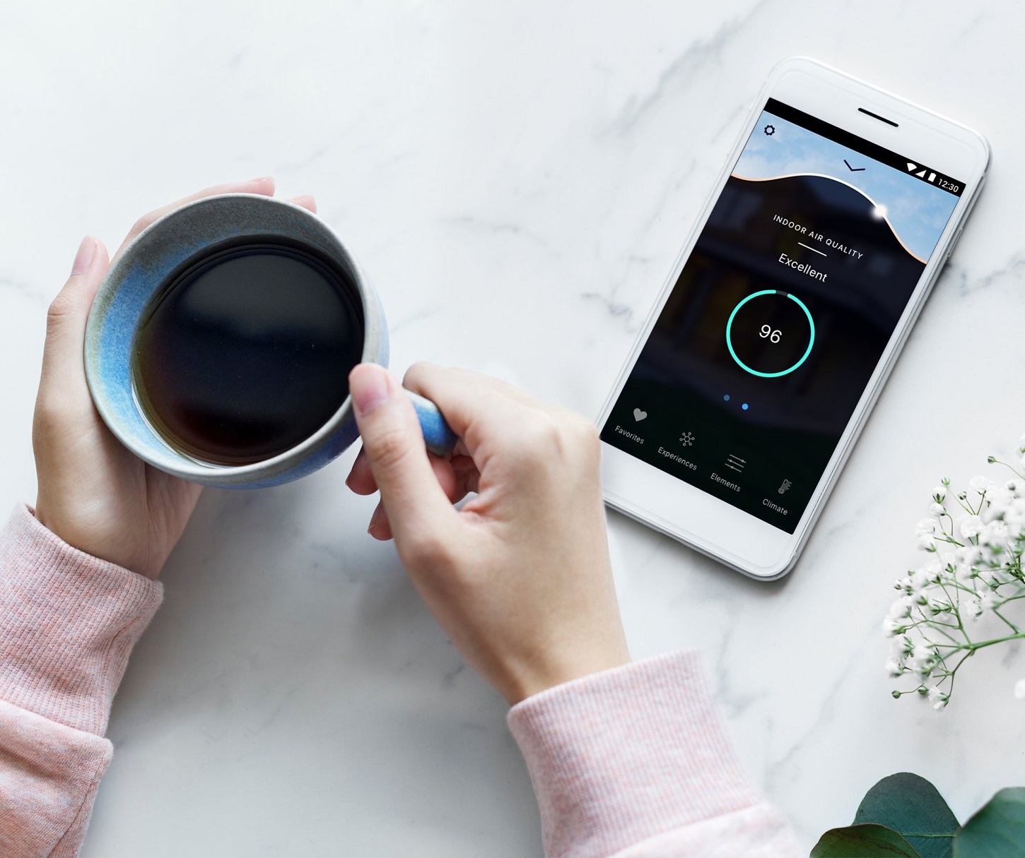 delos-darwin-app - Grocapitus