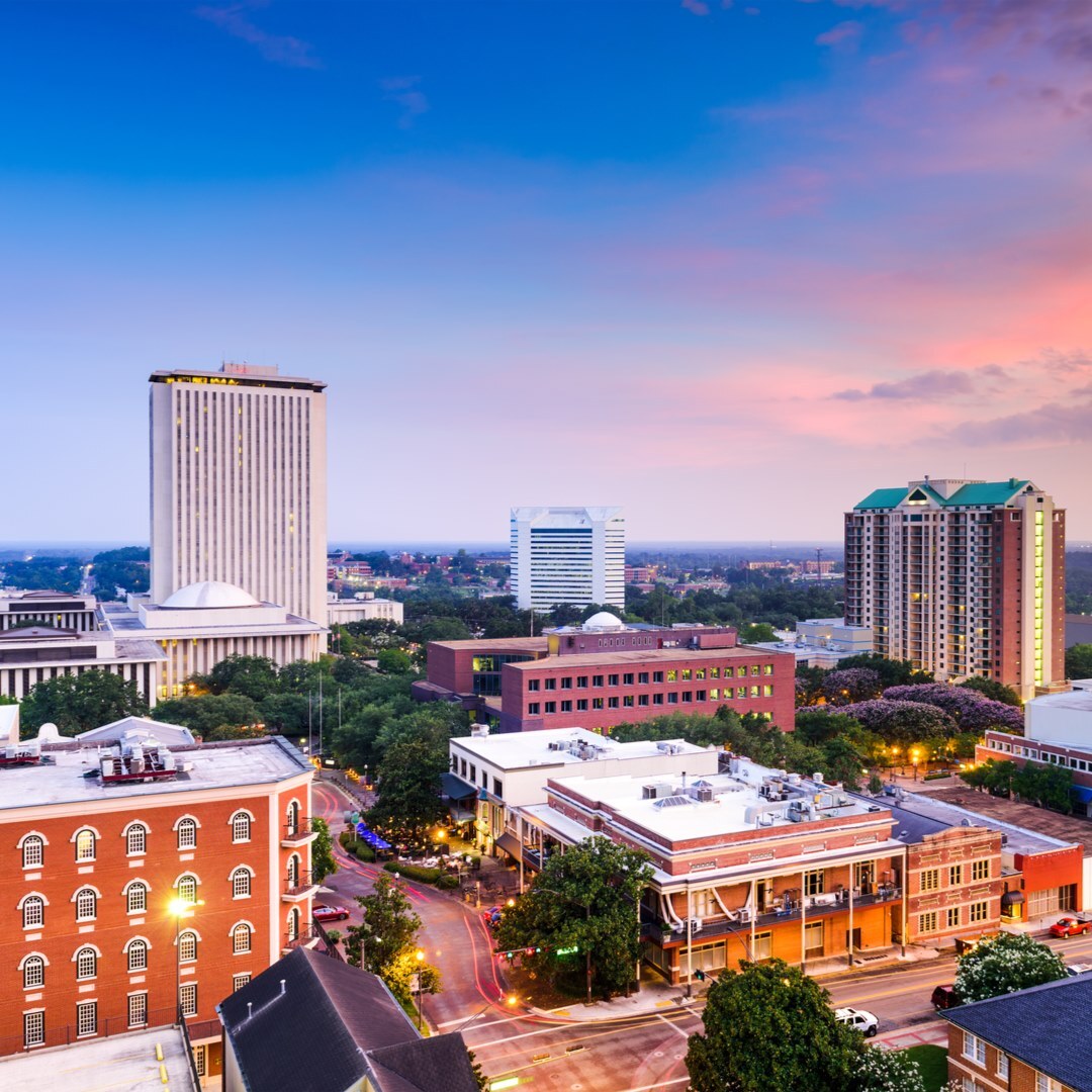 tallahassee - Grocapitus